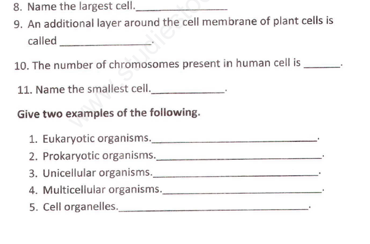 CBSE Class 8 Science Cell Structure and Functions Assignment